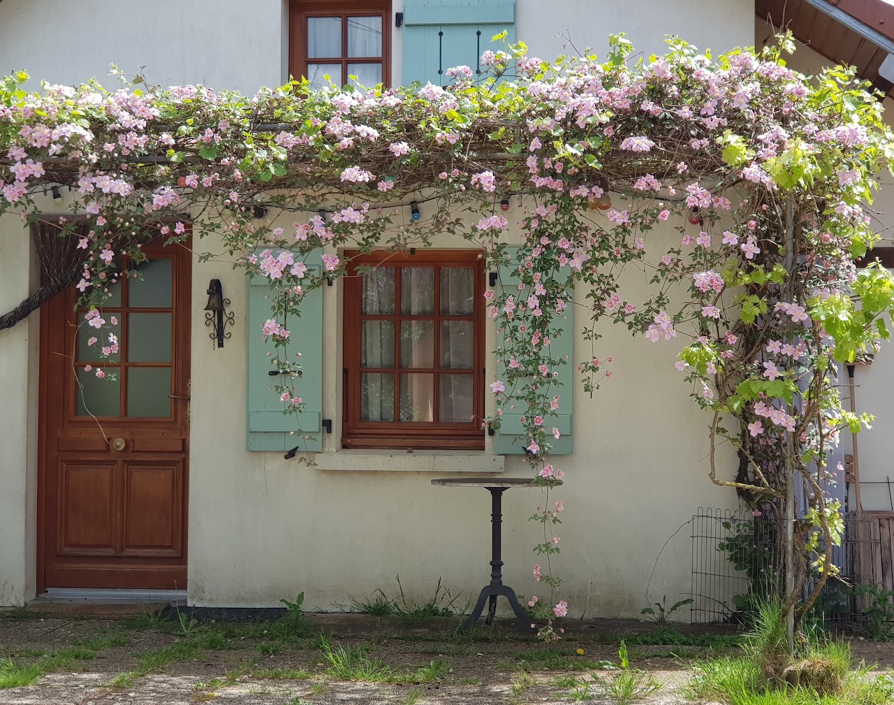 Haus