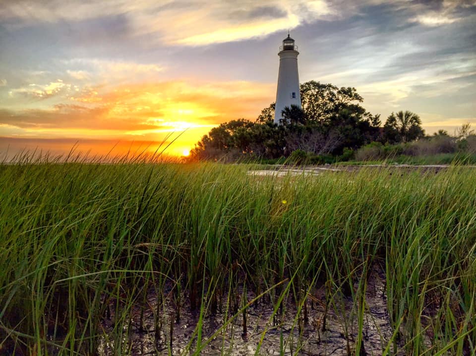 COASTAL LIFE