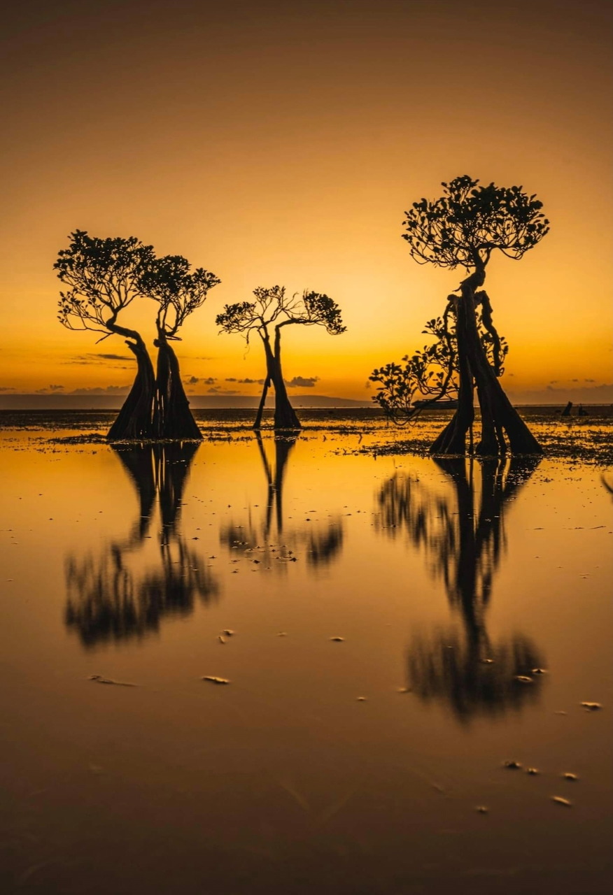 The Natural World