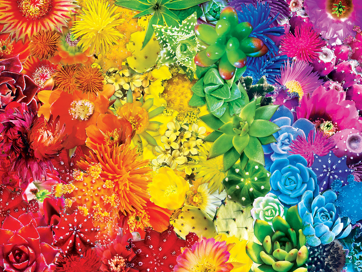 Colourful