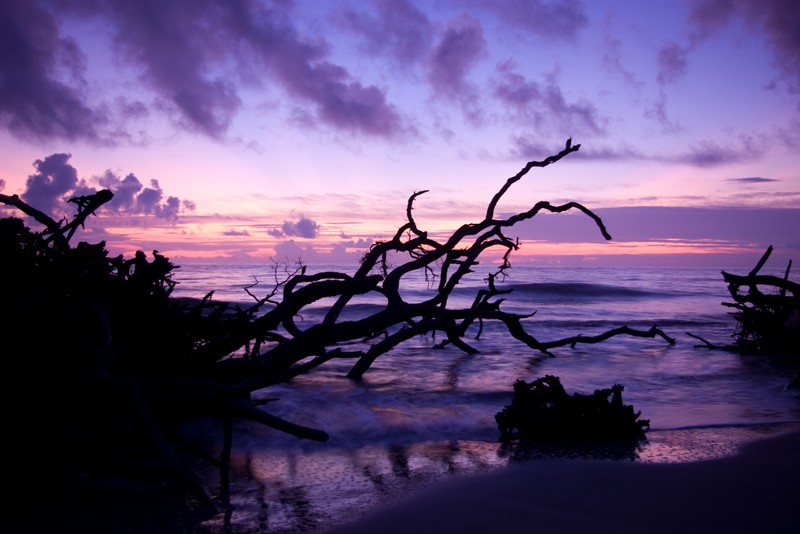 BlizzardMatrix - Landscape