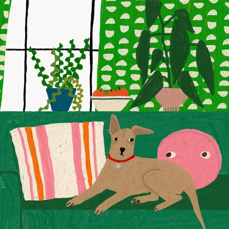 Anne Bentley