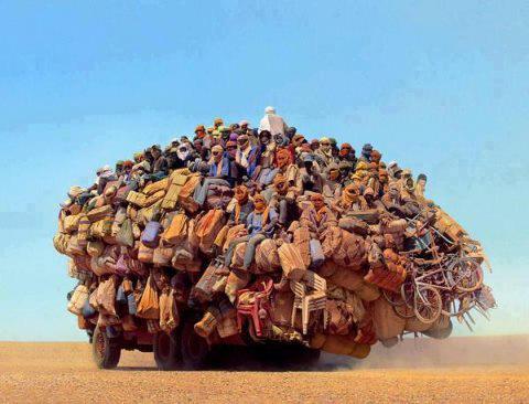 Cat120 - Strange Transport