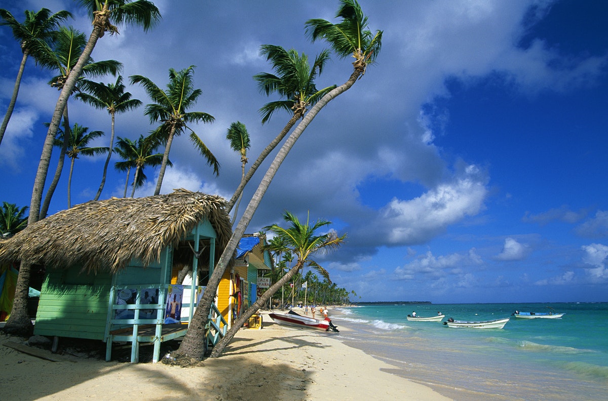 Cookie303 - Tropical Destinations