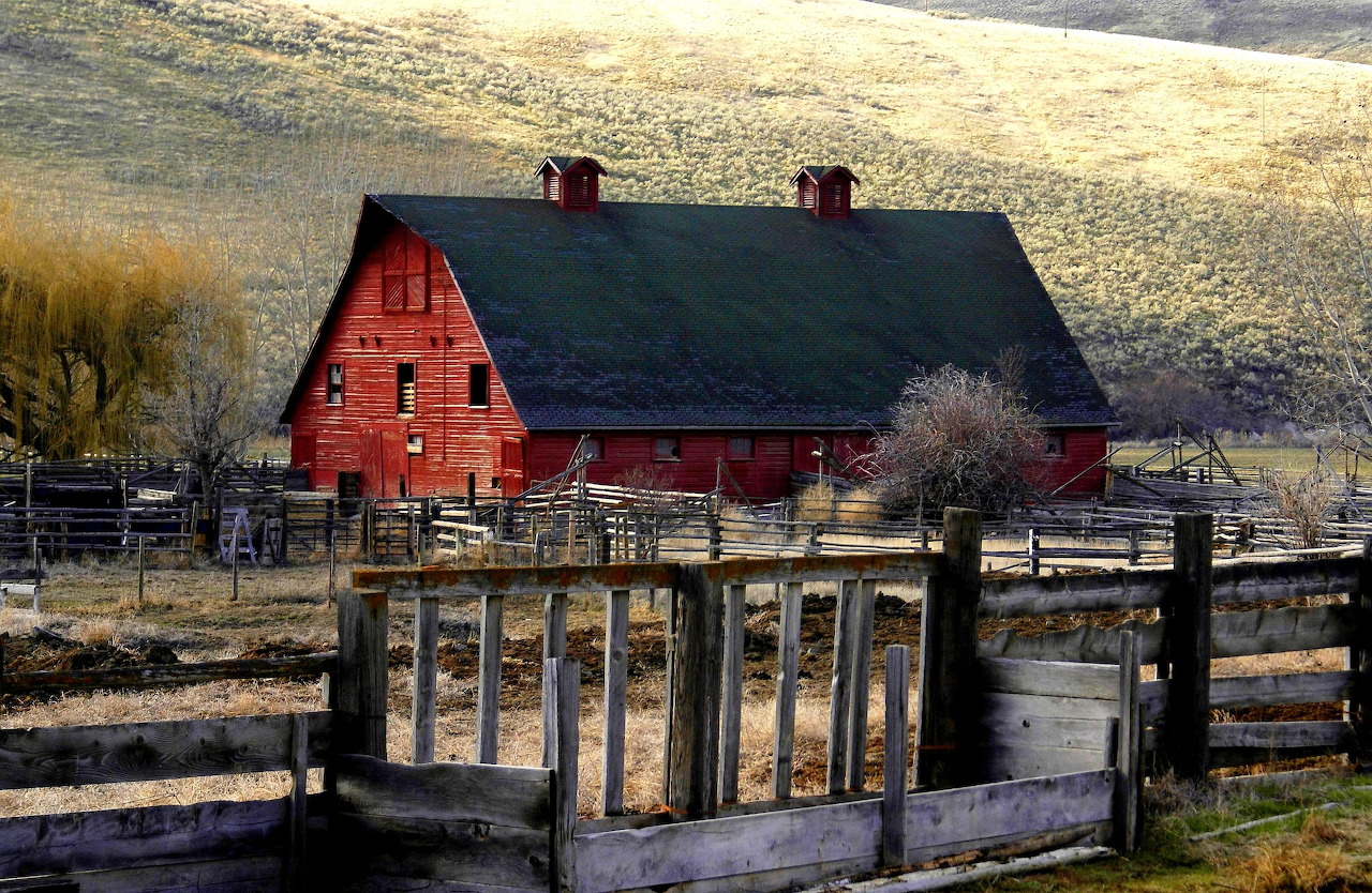 Barns and Rural Structures