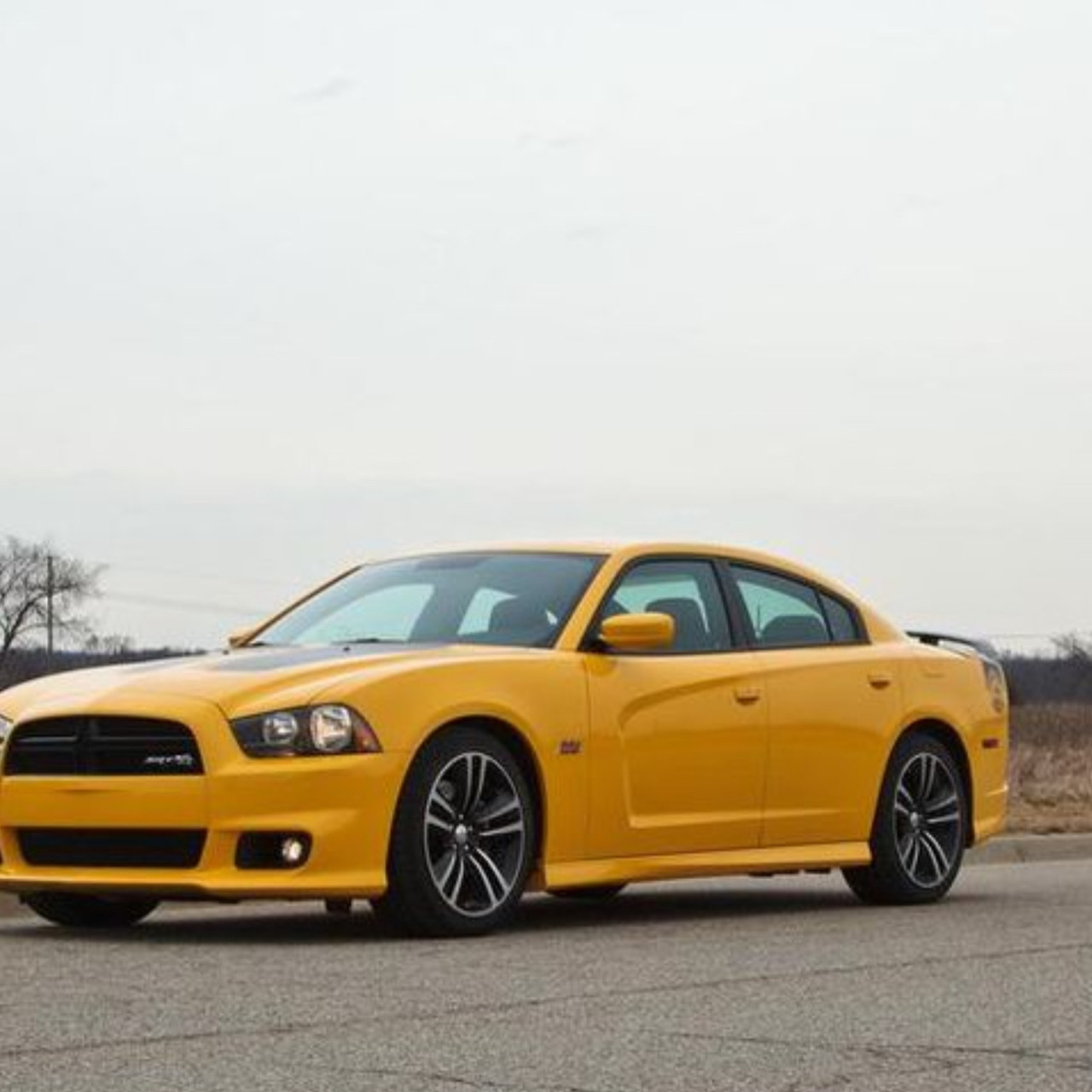 DODGEgeek508