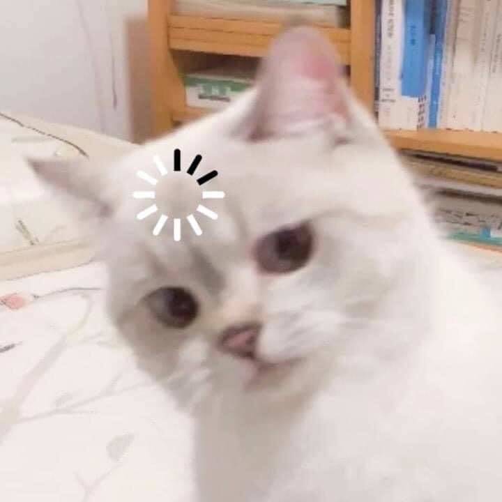 DYDYDYD