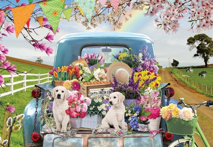 dogs