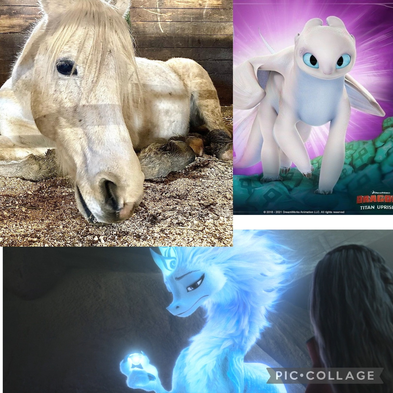 Mlp | DolphinGirl