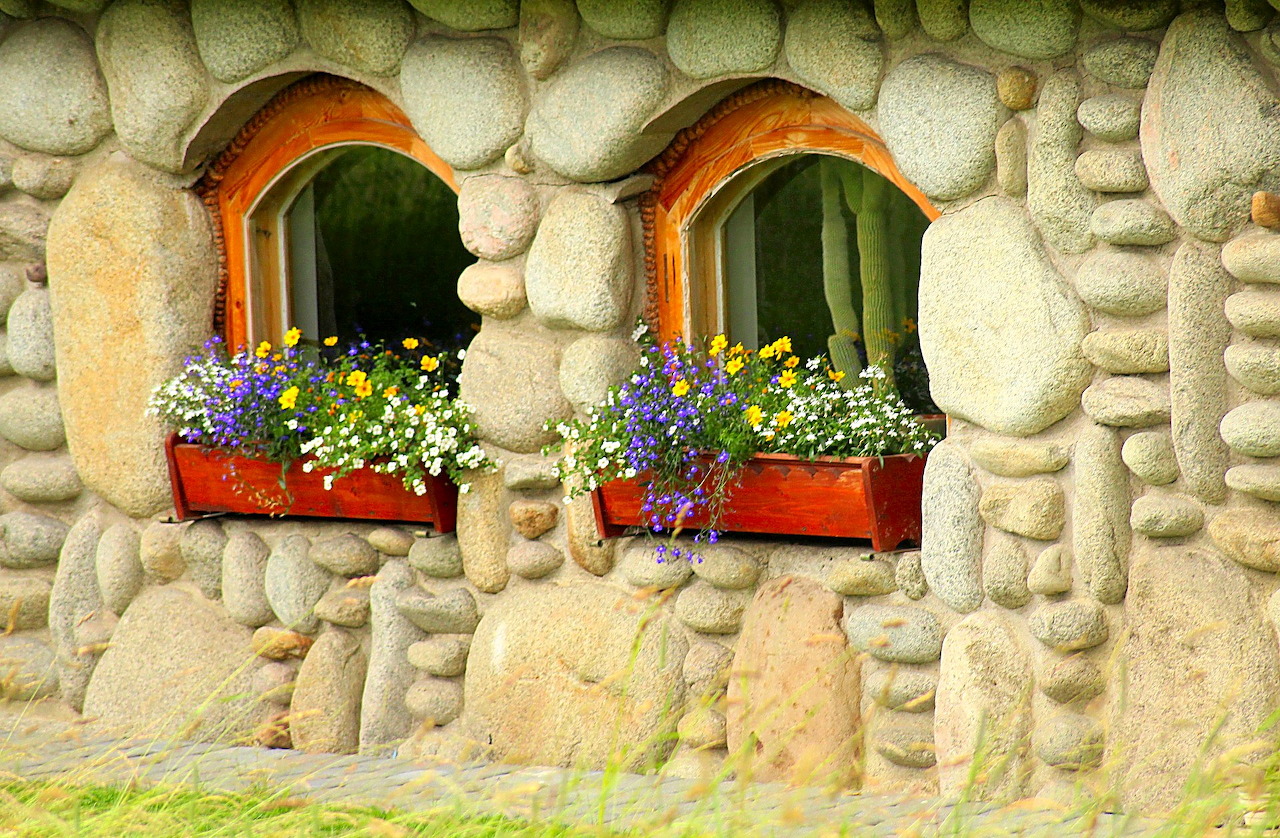 Windows, Doors