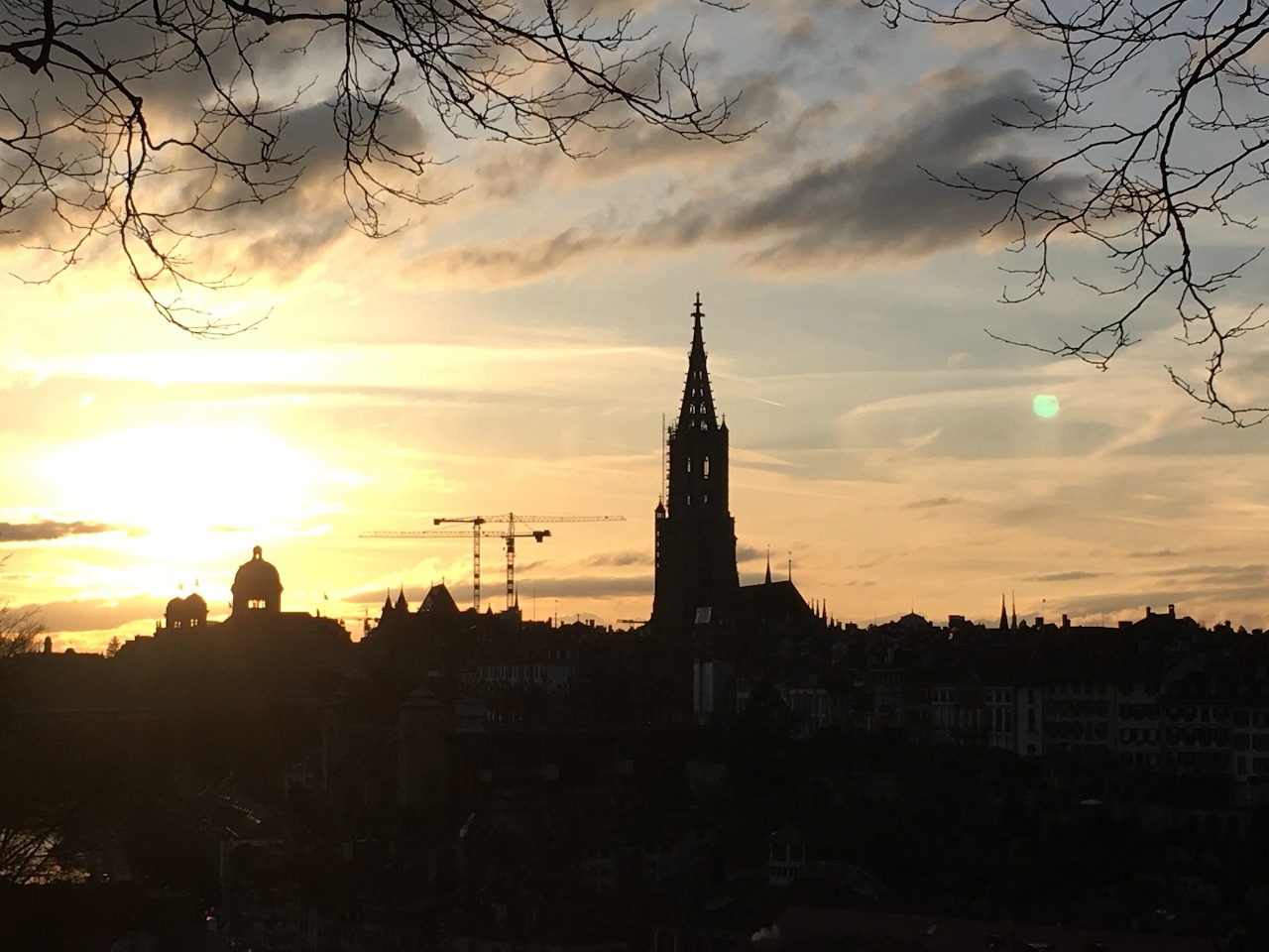 My City