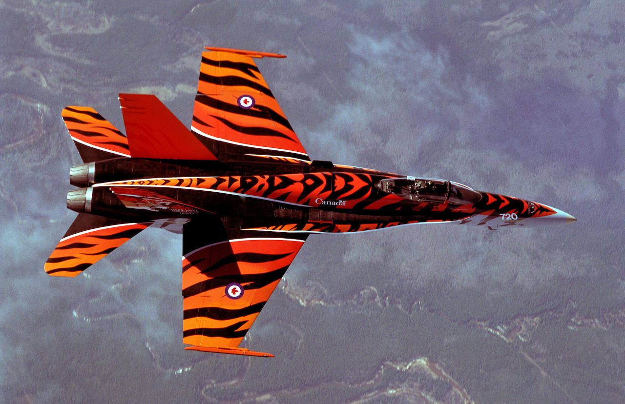 Freddij - Today's RCAF Aircraft....