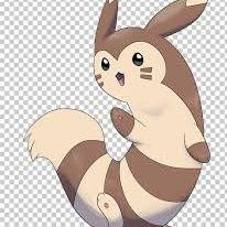 Furret