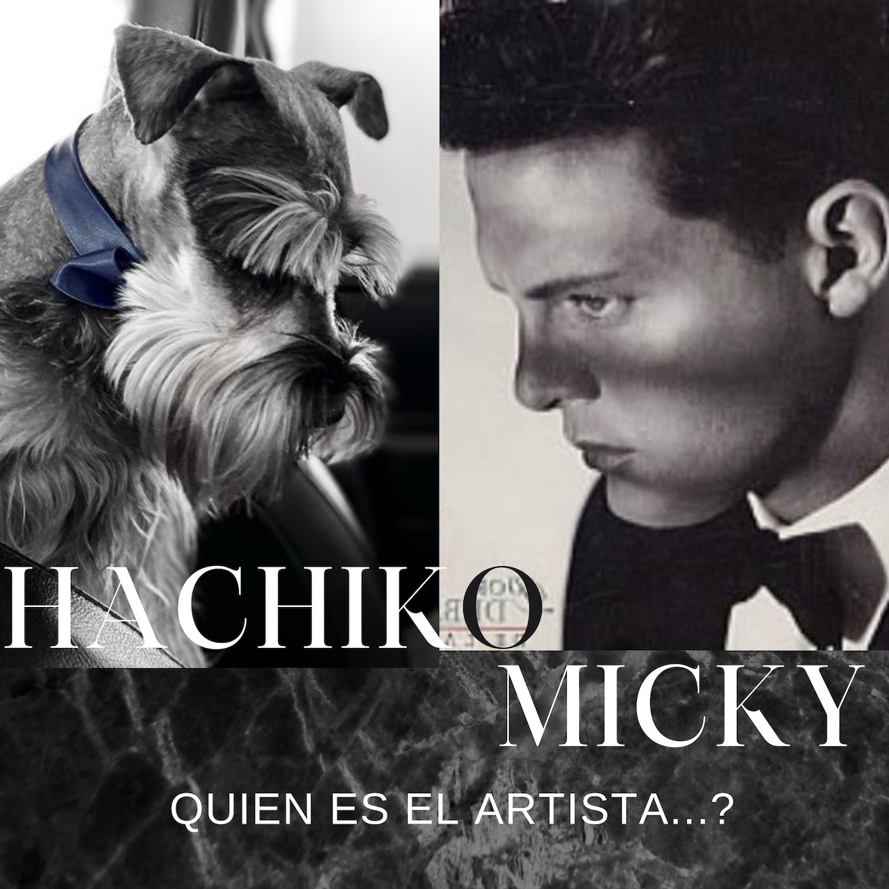 HACHIKO1972