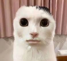 EMO!