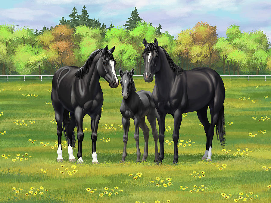 Animals | Loppan
