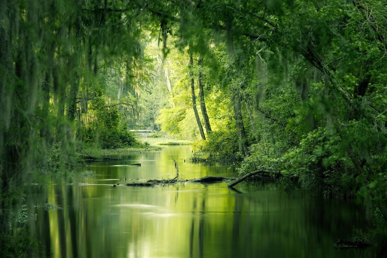 Nature
