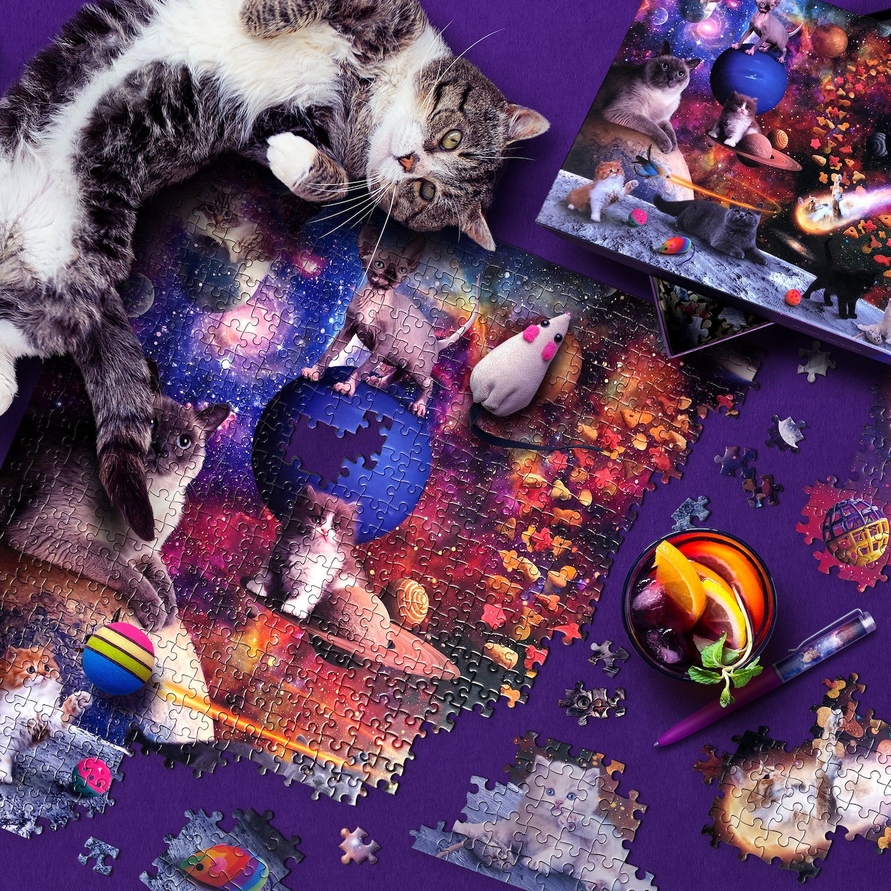 Cats