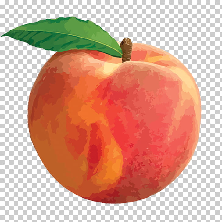 Peach47