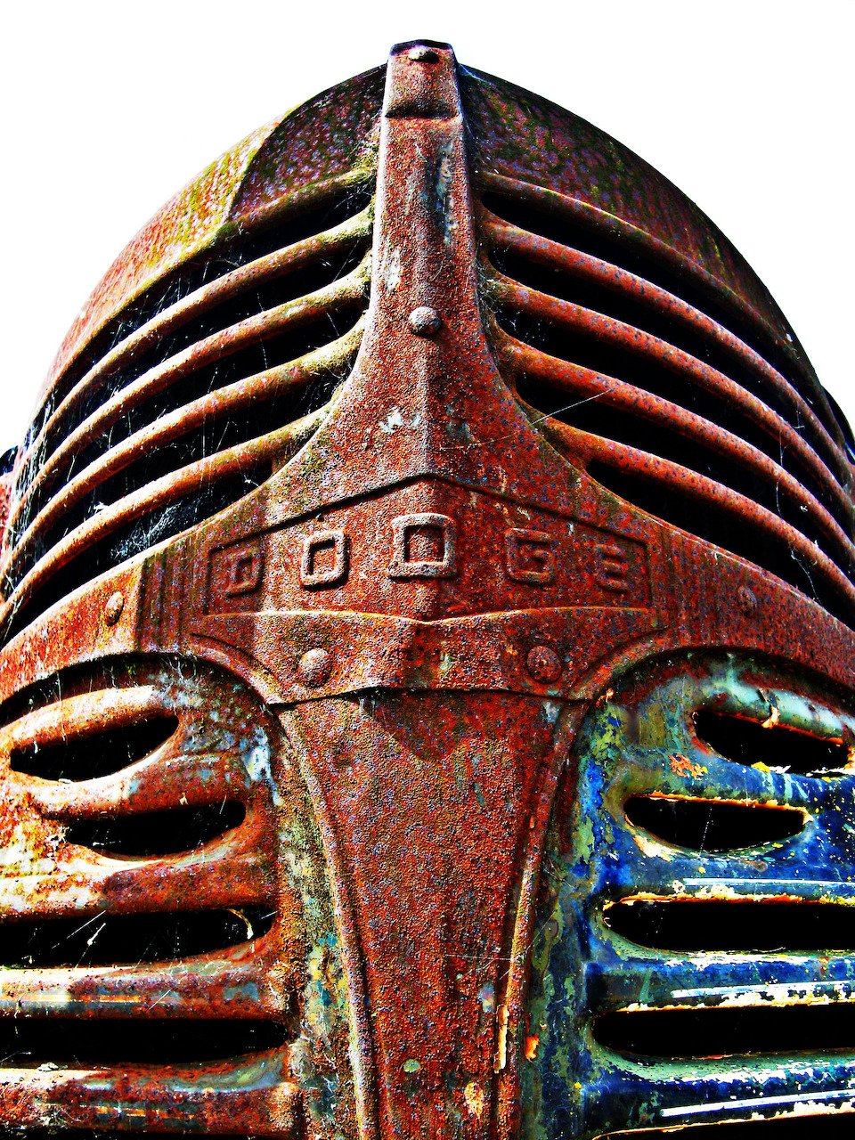 Peacheserratica - Rust