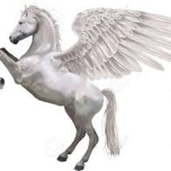 PegasusUK
