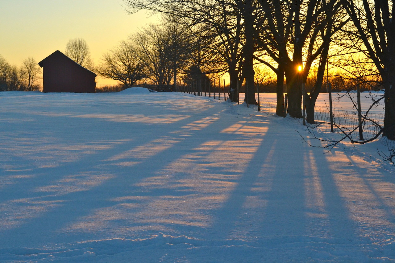 Sunrise | Photog