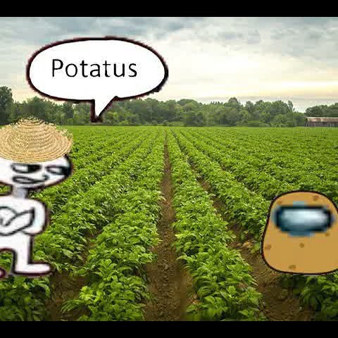 Potatus