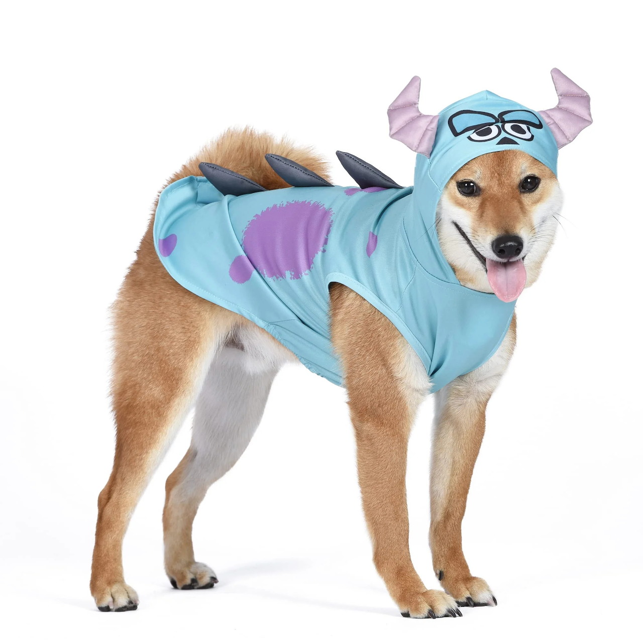 Disney Pets