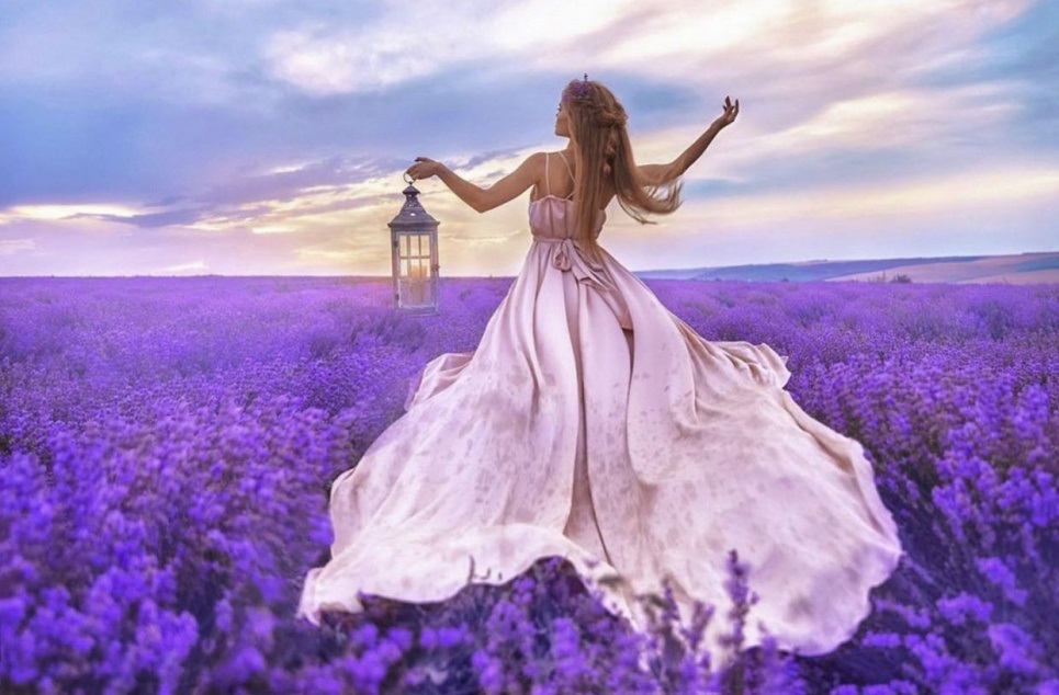 Lavanda