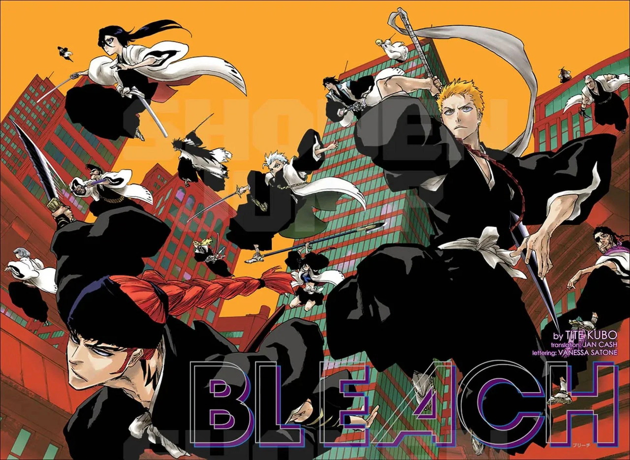 RaptorOfPuzzles - Bleach