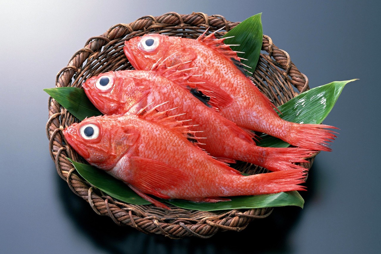 Rookwings - A bit fishy