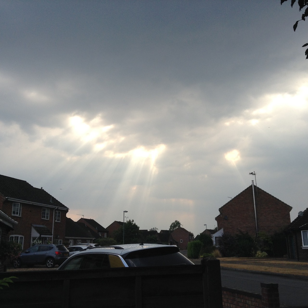 Rookwings - album 2018