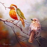 Birds | Ruadan