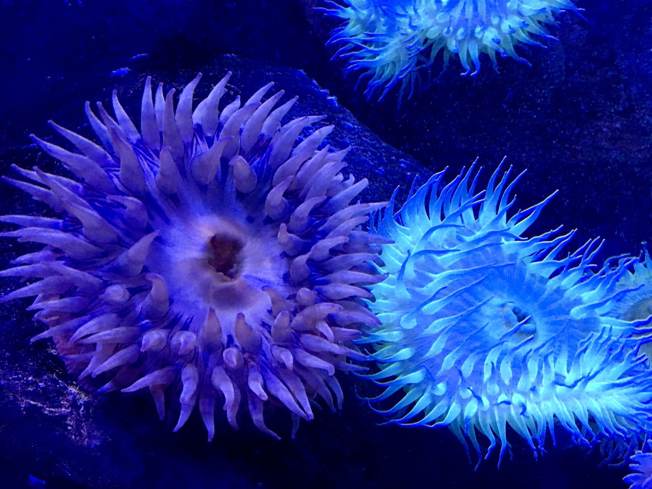 Underwater