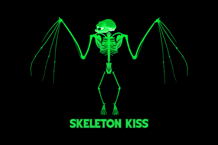 SkeletonKiss - Skeleton Kiss