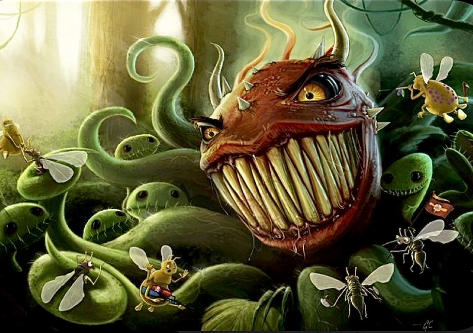 SmilingGoodTimes - Venus Fly Traps
