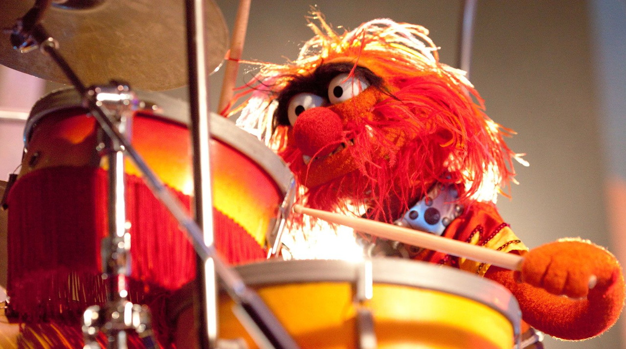 SteWoam - Drummers