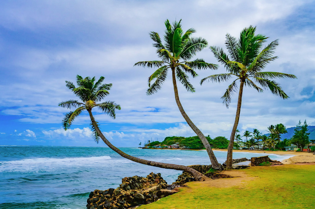 Scenery 🌍🚂🏖️