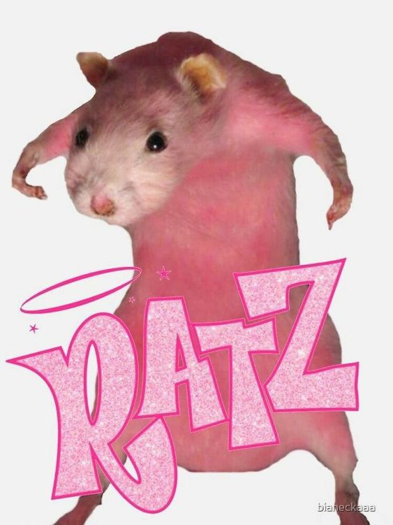 :'D