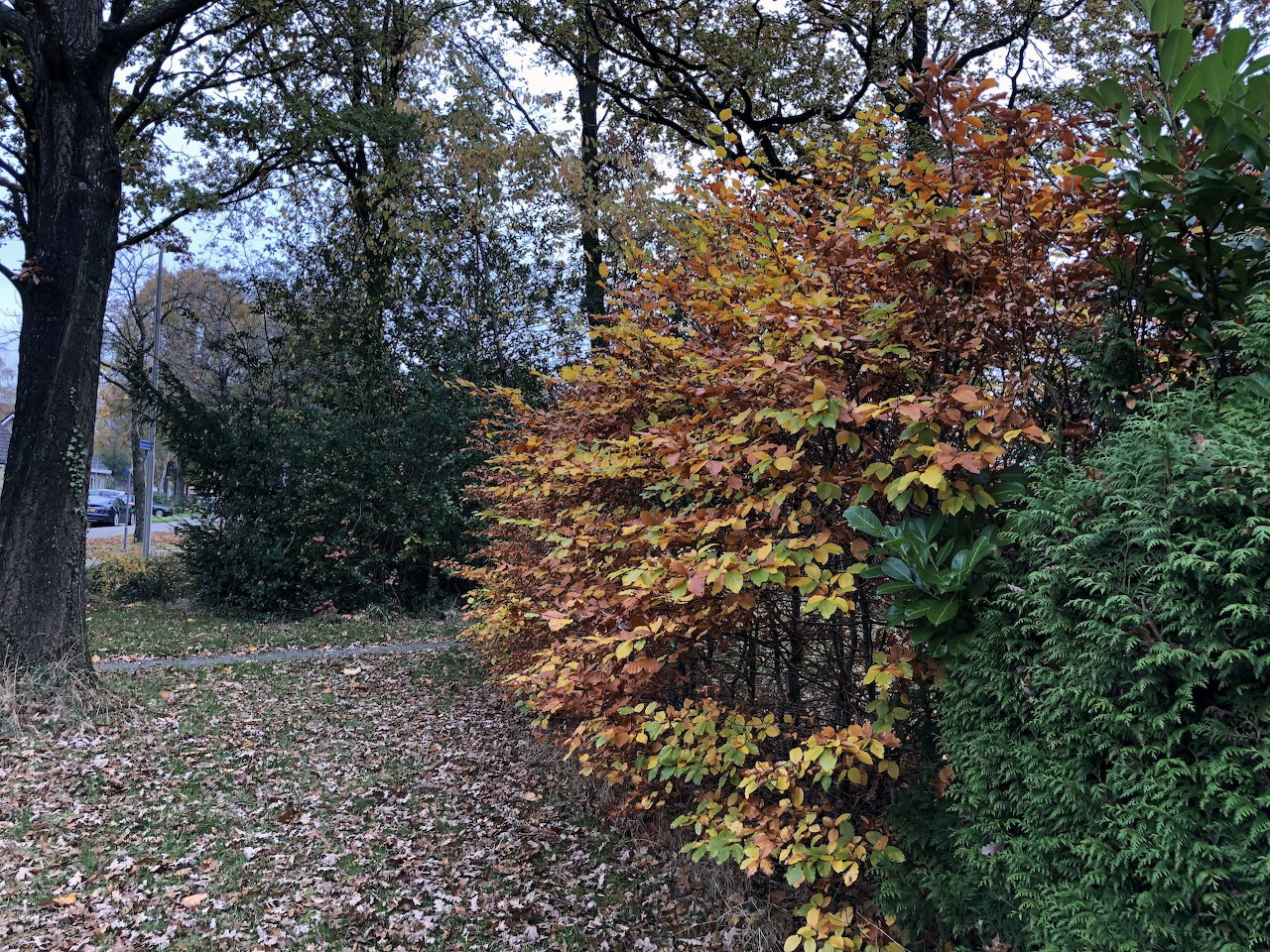 Tjaco - Natuur