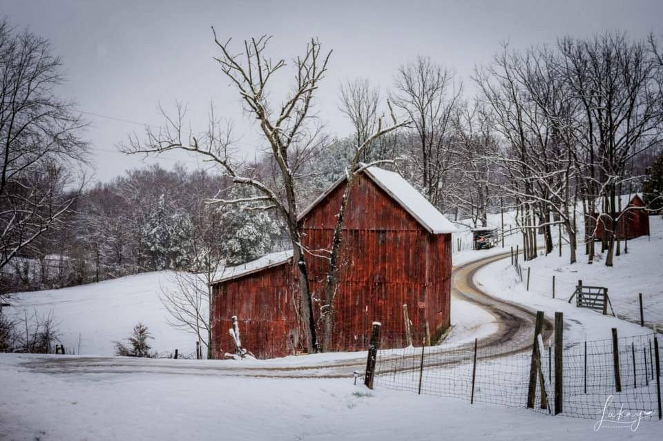 Barns | UkieChick