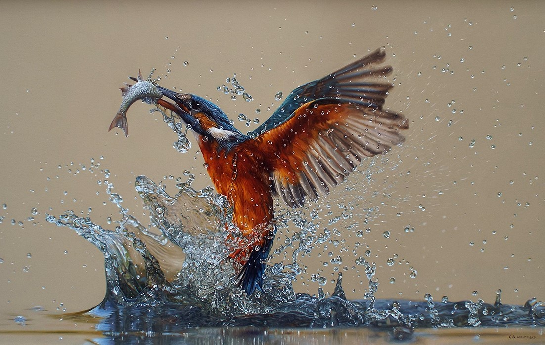 Vesca - birds