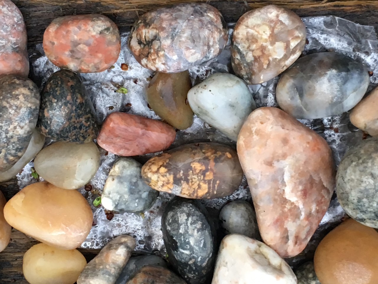 Washijuwia - River Rocks