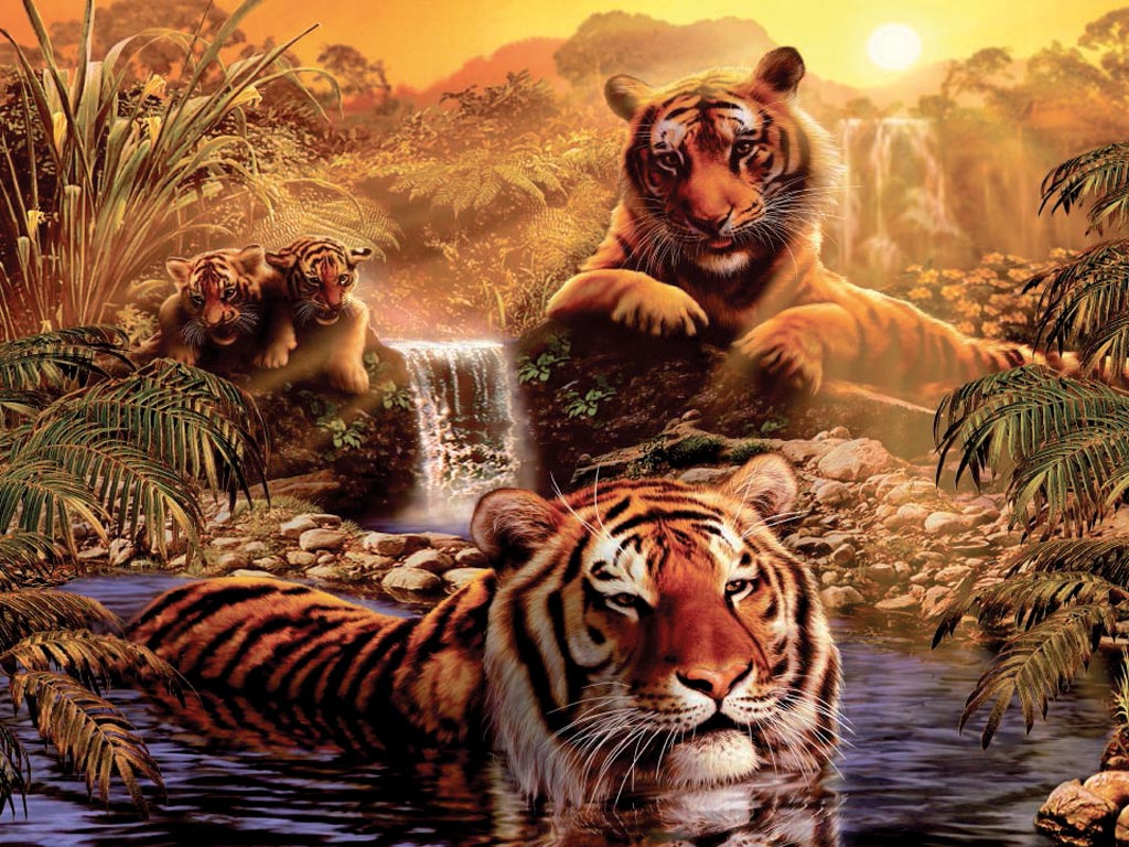 adidas - animals