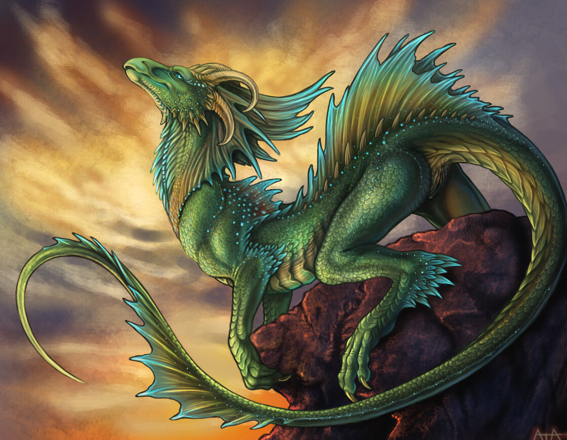 aruse - draci-dragons