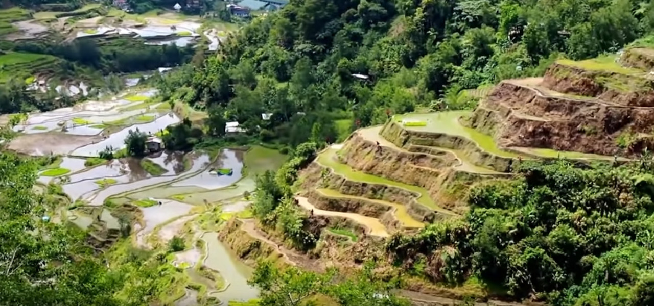 basicdesign - rice paddies