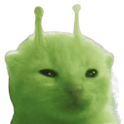 carly6661