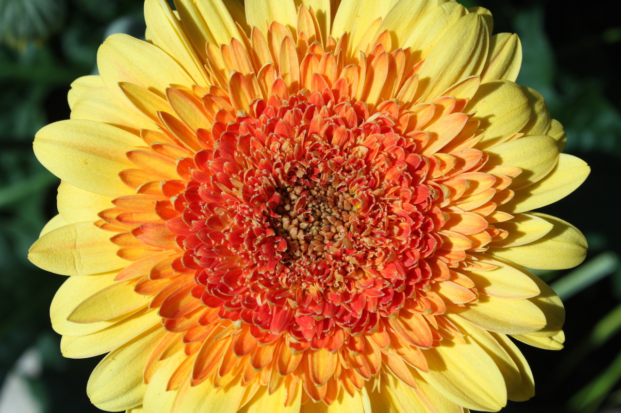 cassallen21 - Nature