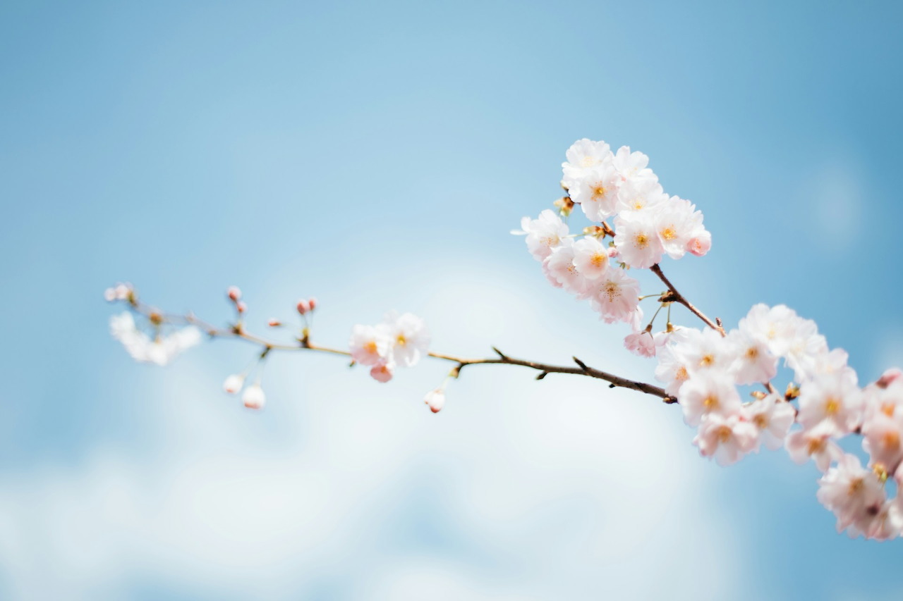 cath991 - Windows 11 Wallpapers (Spotlight)