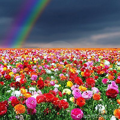 esh1013 - Colors